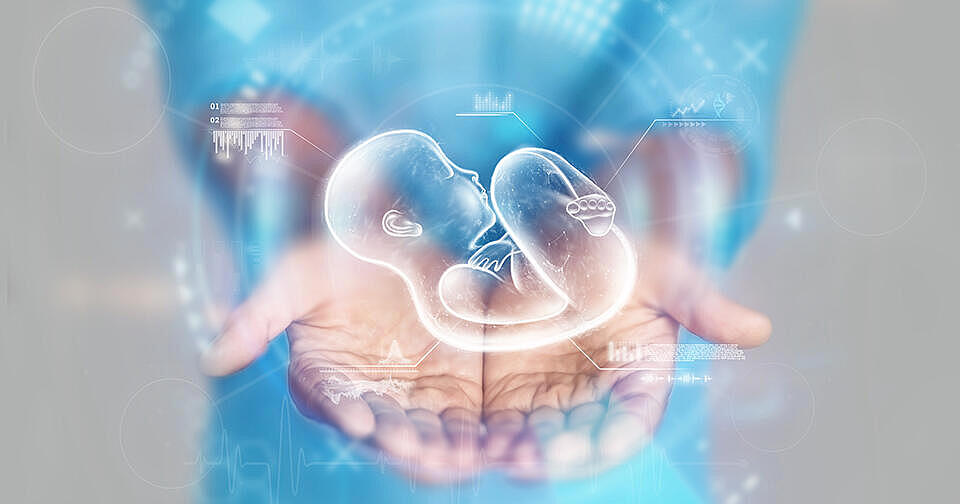 Embryo Donation, Embryo Adoption and Parental Responsibility ...